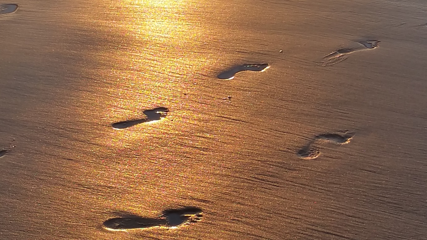 Über den Sinn und den Wunsch Spuren zu hinterlassen - focus Potenzial